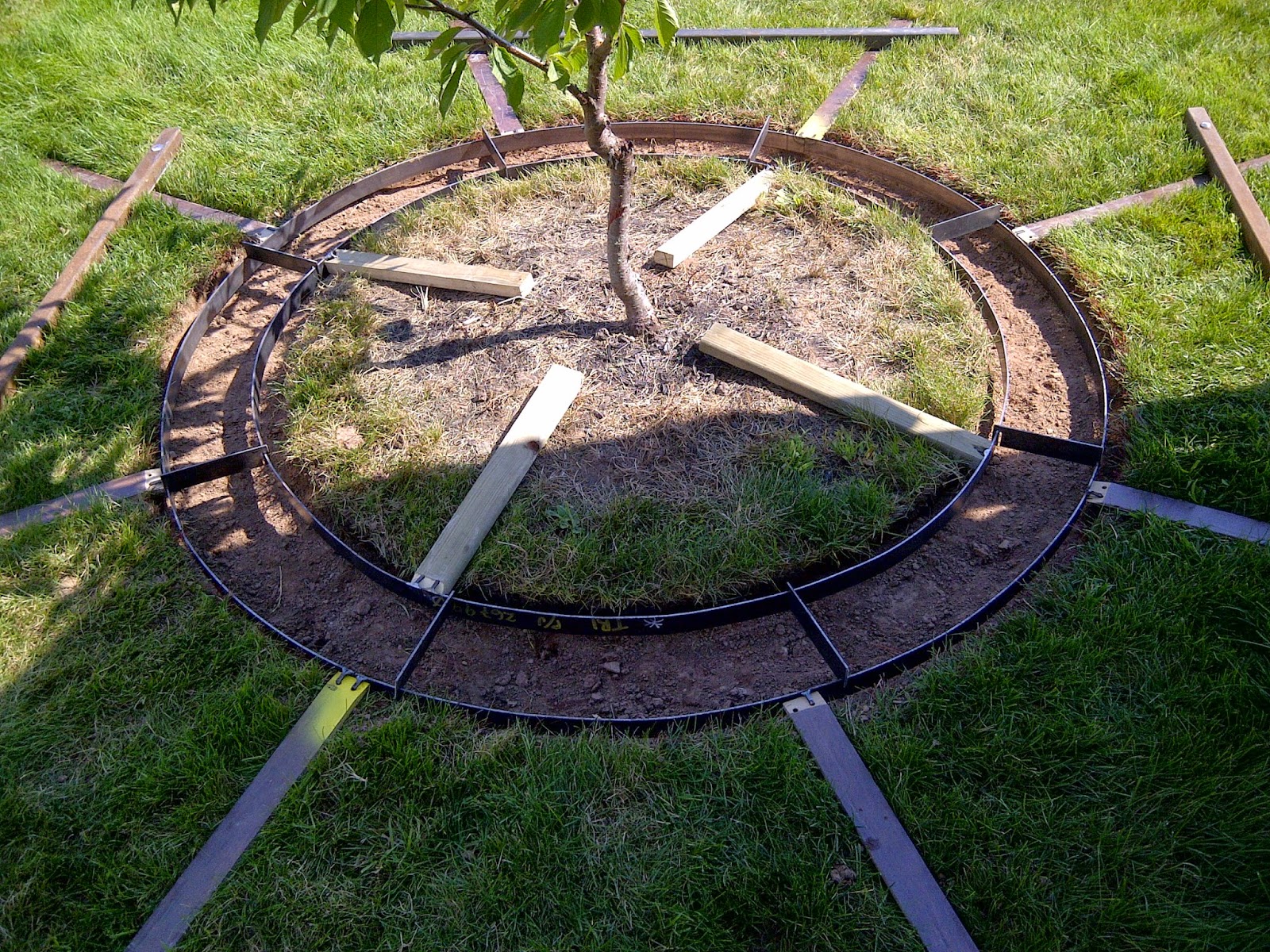 Another Day Another Project: Concrete Borders for Trees