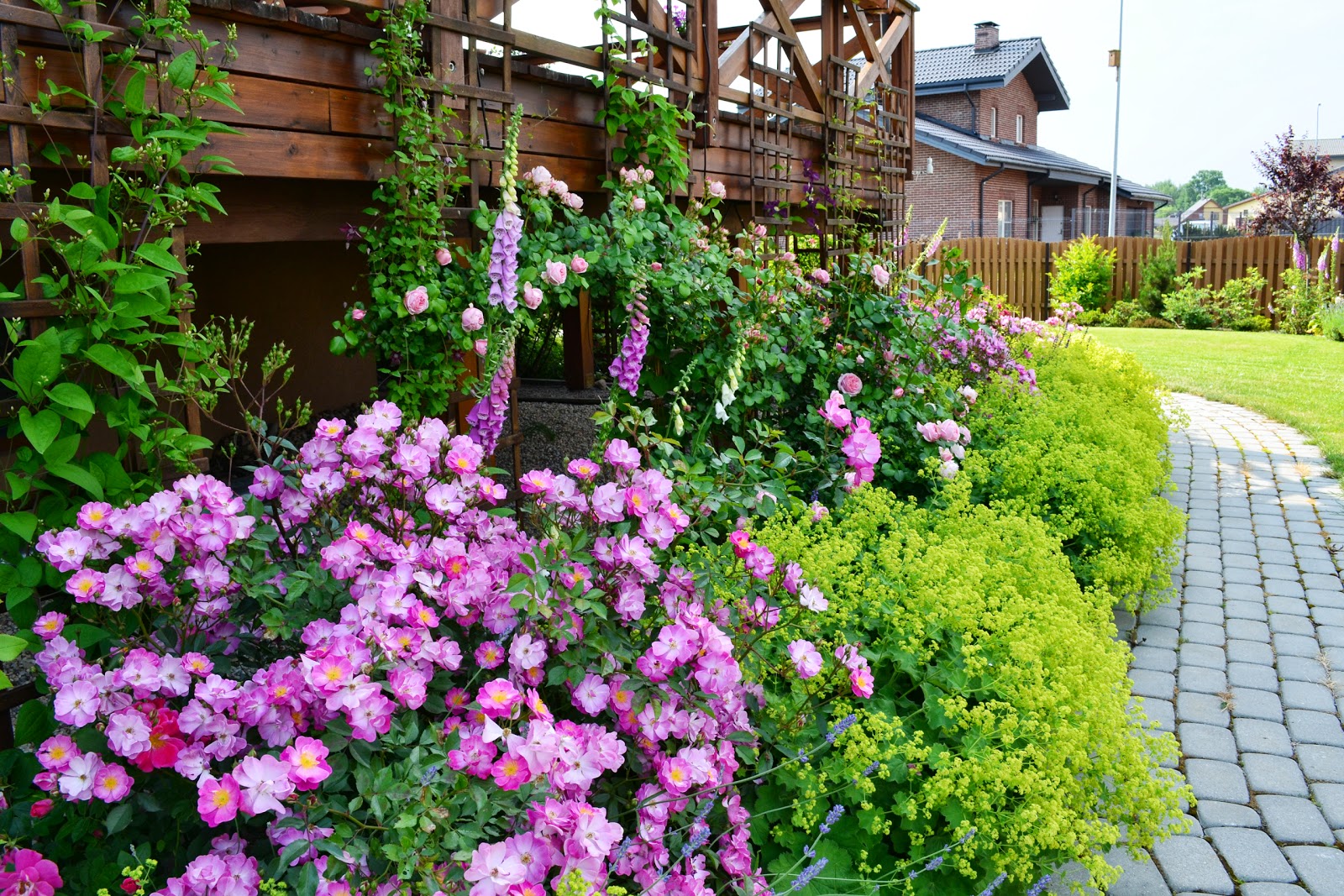 Aplinkos projektas: Rožės