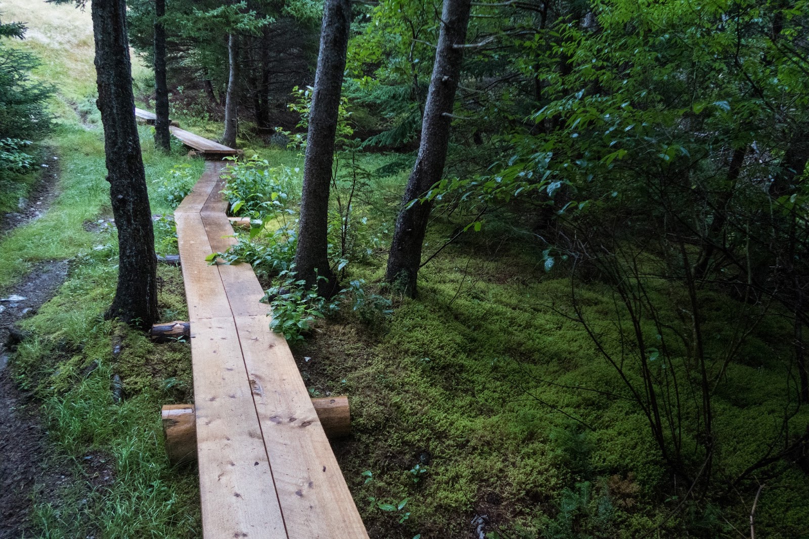 Eric's Hikes: East Coast Trail Day 2: Chance Pond River to South Cape ...