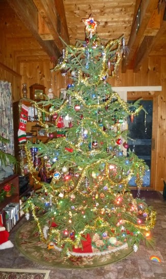 Life in the Swamp: 2014