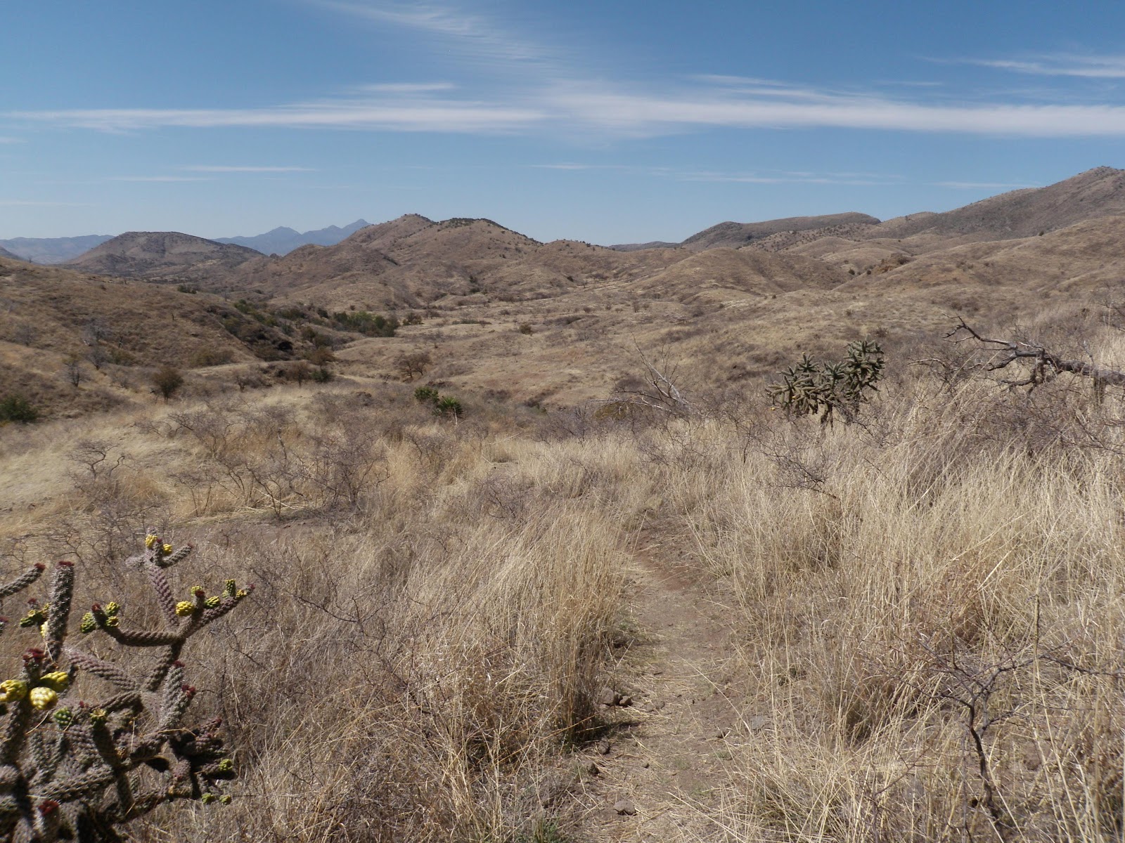 My Two Schillingsworth: AZT300 - 1st Attempt