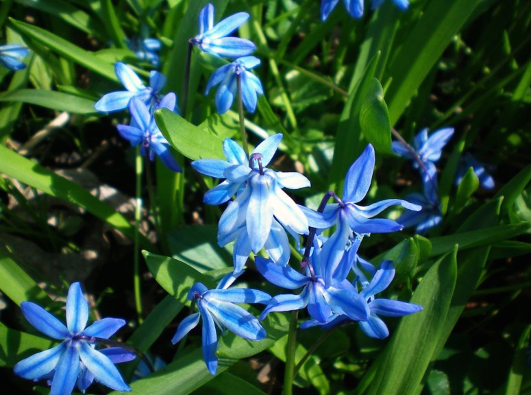 Always CraveCute: Spring Awakes