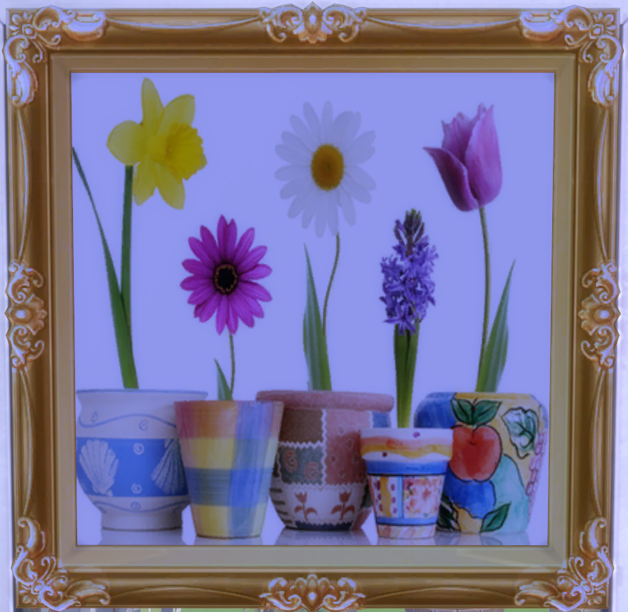 Monika Spielt Sims: 2015