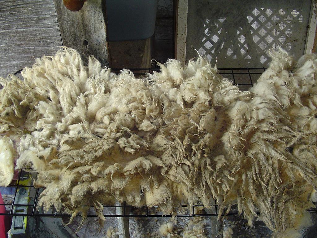 Art, beauty and well-ordered chaos: Adventures in Wool: Step 1 ...