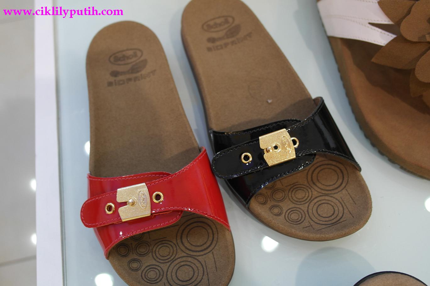 kasut scholl terkini - Sean Grant