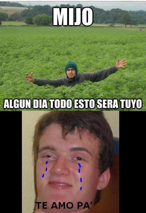 Los mejores Memes de la semana: Mijo!: Los mejores Memes