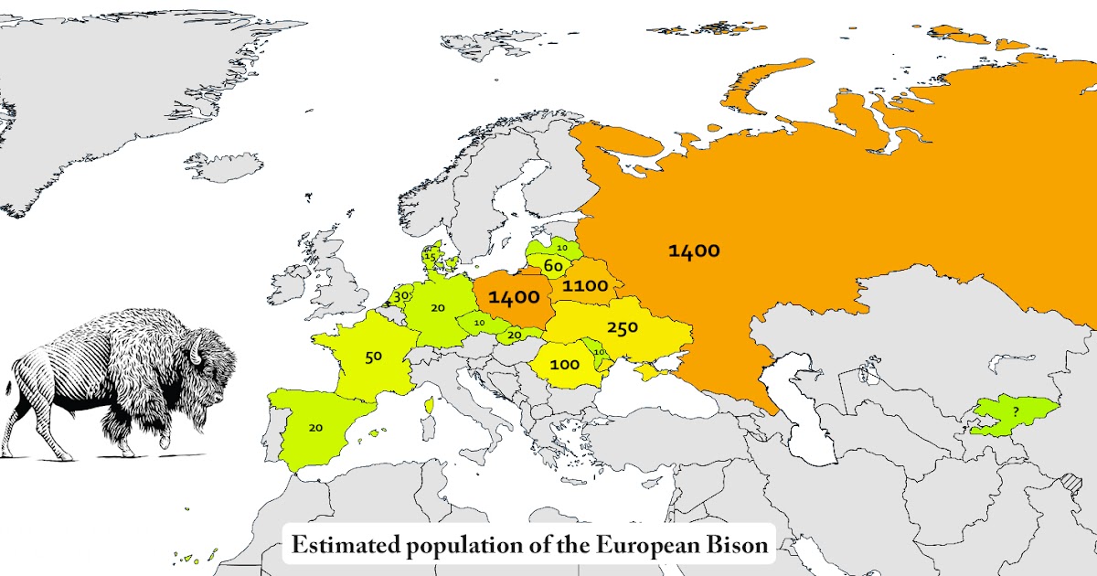 Estimated population of the European Bison