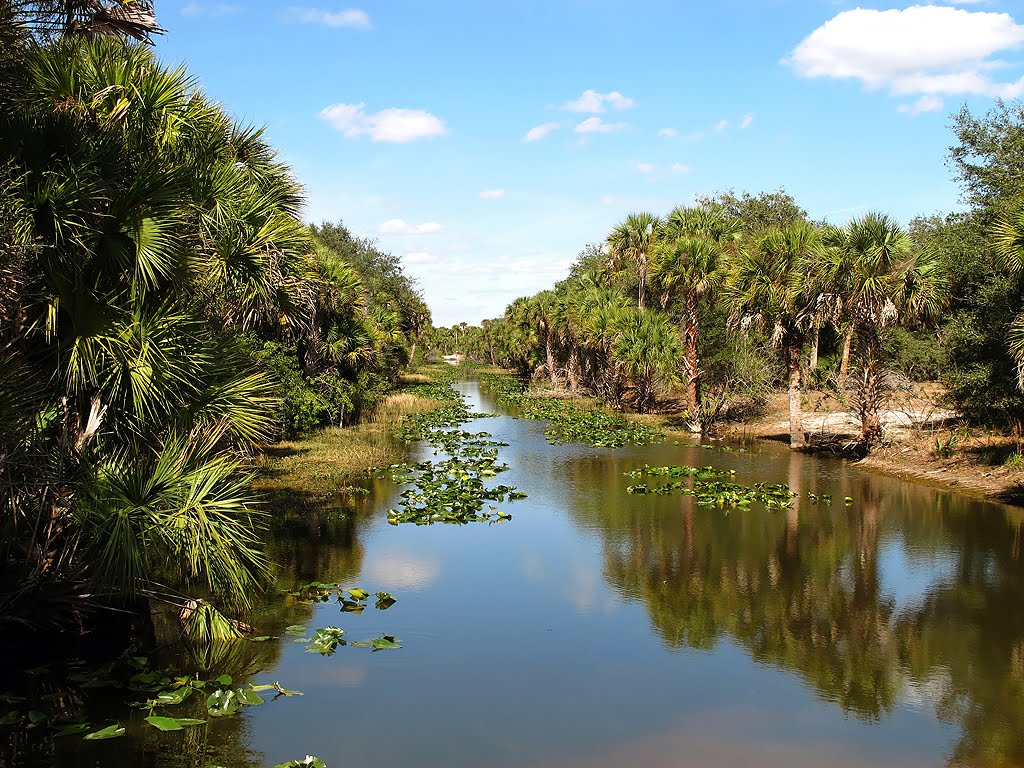 Florida Hikes and Other Outdoor Information : Three Forks Marsh ...