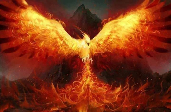 VerbeWarp: January 2016