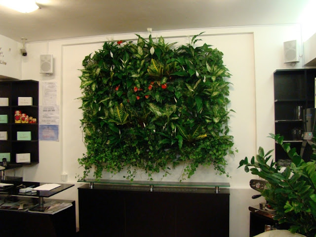 Gradini Verticale Interioare