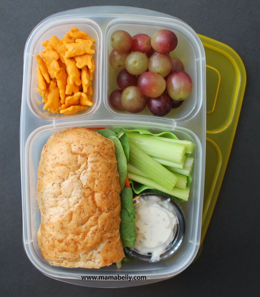 Mamabelly's Lunches With Love: Easy Lunch Ideas in Easylunchboxes