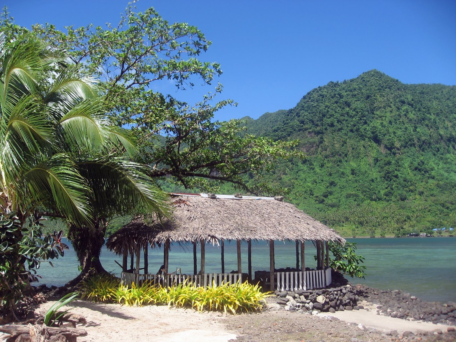 OliverHansen: Samoa, a taste of Polynesia!