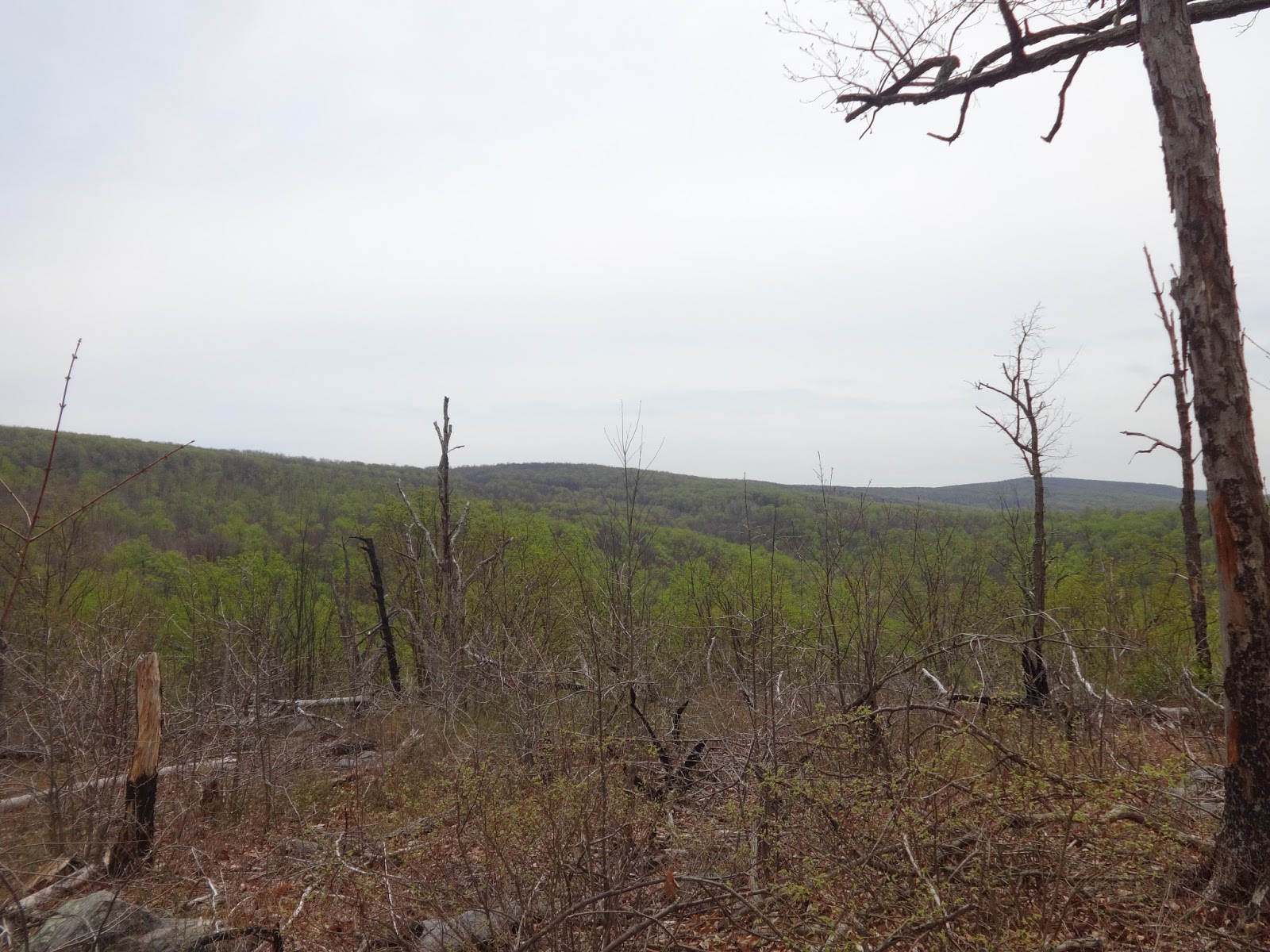 Appalachian Trail Section hiking: Ashby Gap to Snickers Gap