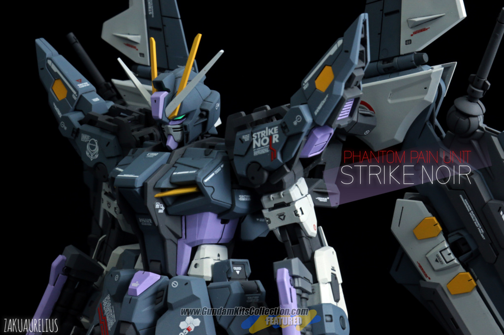 Painted Build: DM 1/100 Strike Noir