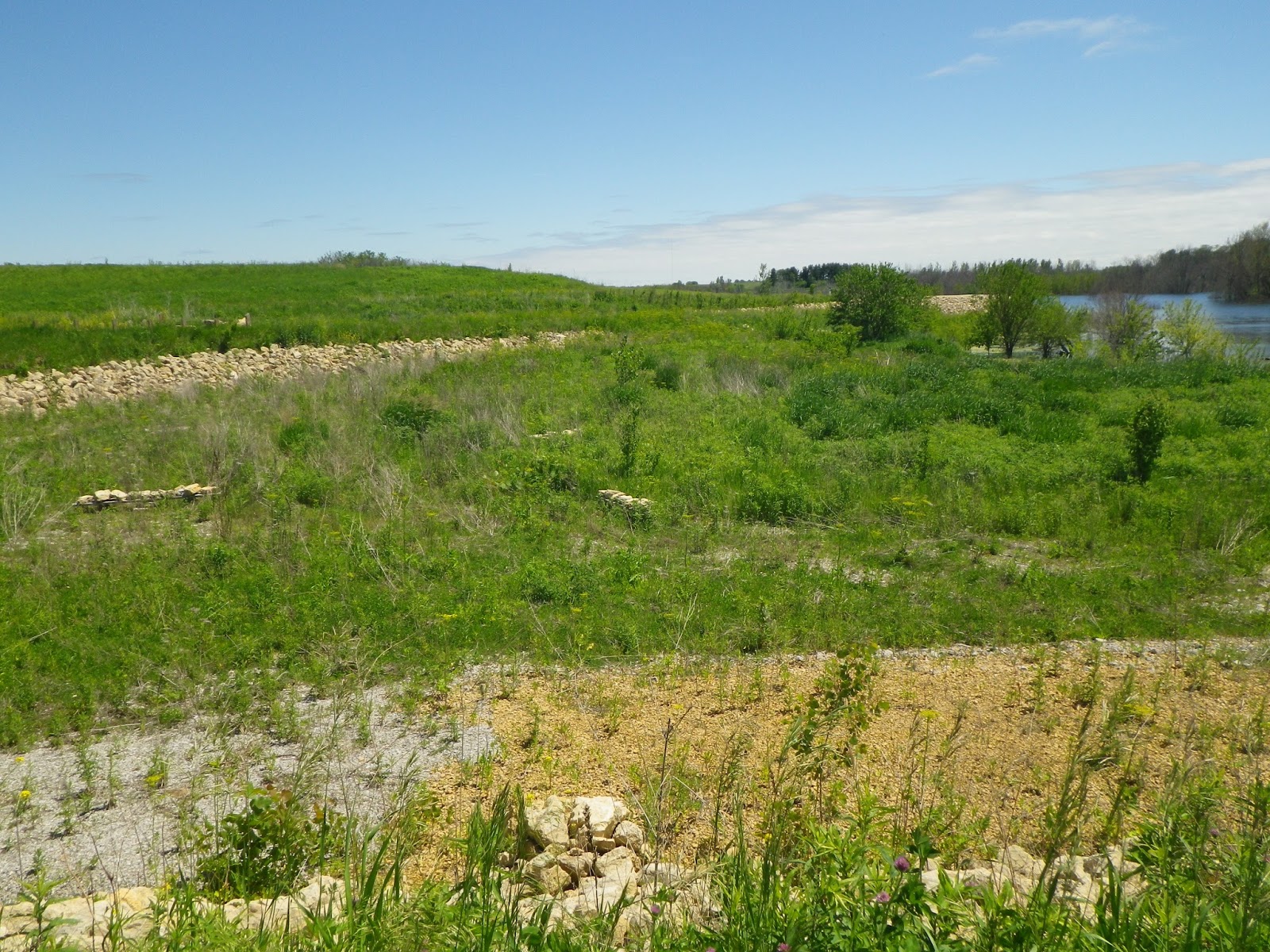 The Lost Grove Lake Mapping Project: It's Getting Closer To Full