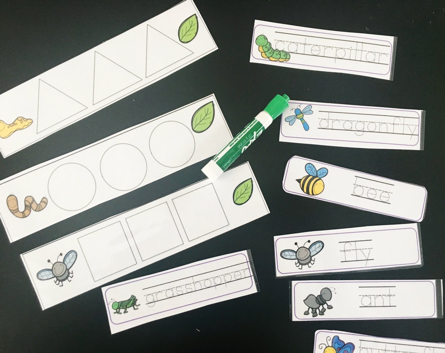 Bugs and Insects Preschool Theme