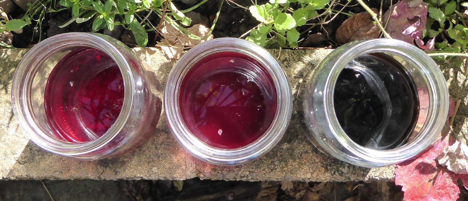 Wool - Tribulations of Hand Spinning and Herbal Dyeing: Plant Dyeing ...