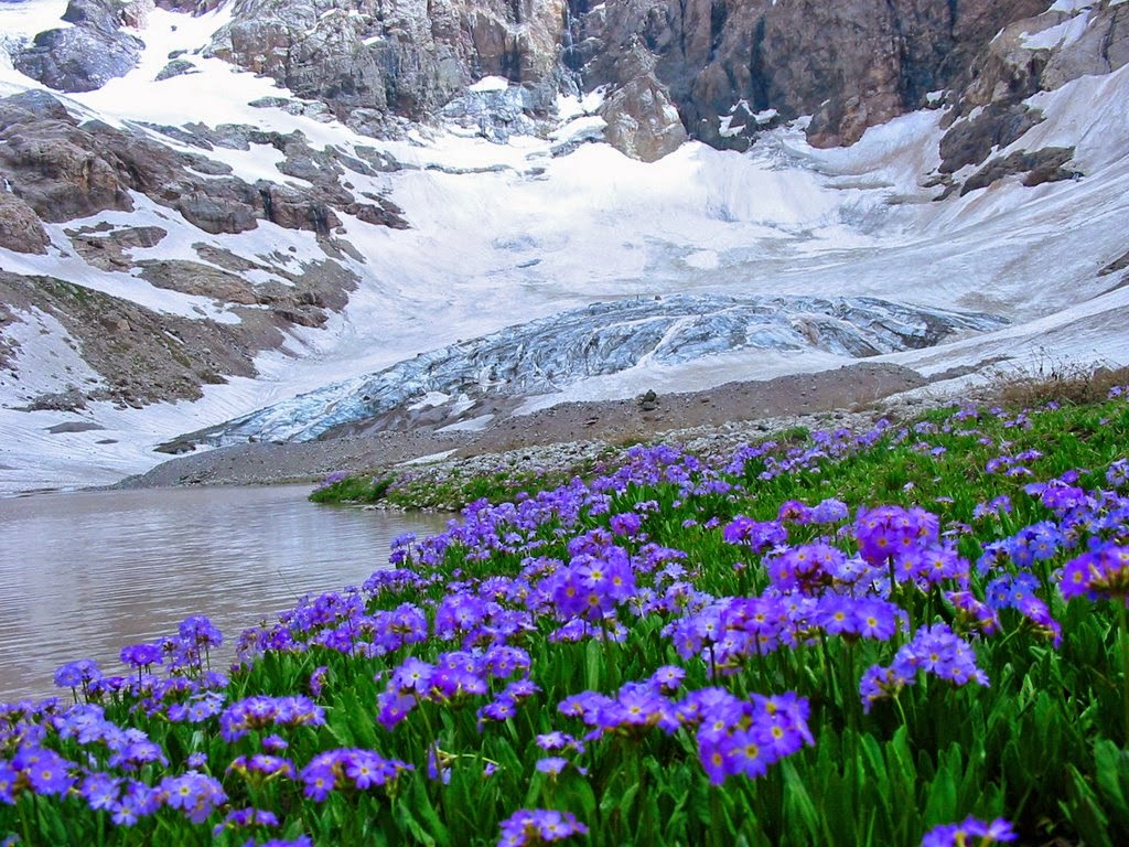 Mount Cilo ~ Call of Turkey