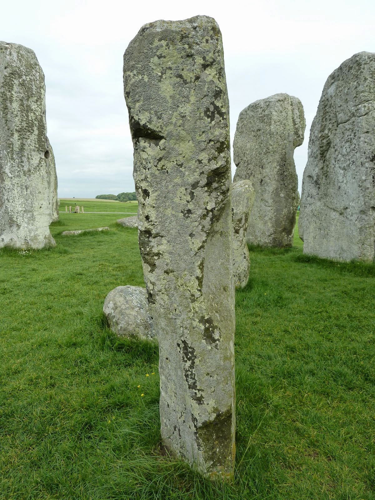 The Stones of Stonehenge: Stone 49