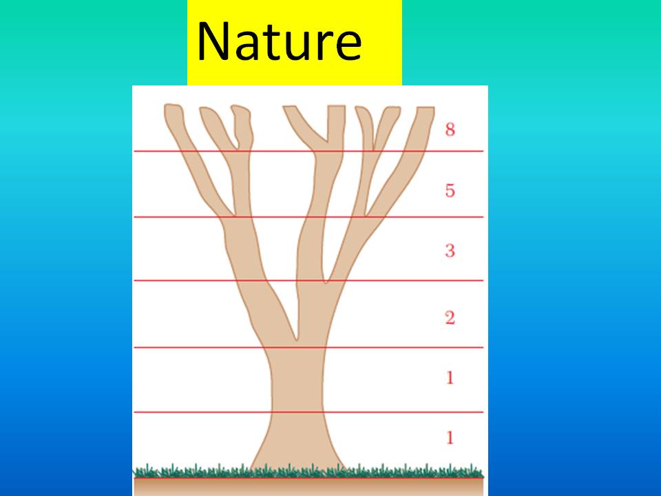 Math 8: chapter 7 sequences and functions