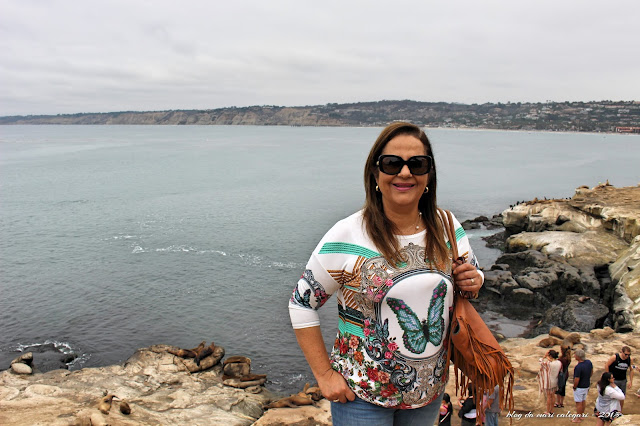 EUA - Leão-marinho na praia de La Jolla - Blog da Mari Calegari