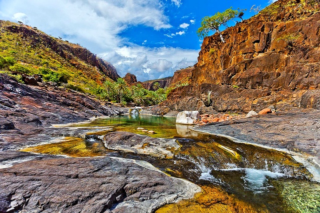 Socotra's Amazing Landscape