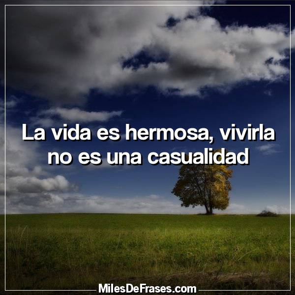 Los Ingredientes de La Vida: Los Ingredientes de La Vida: