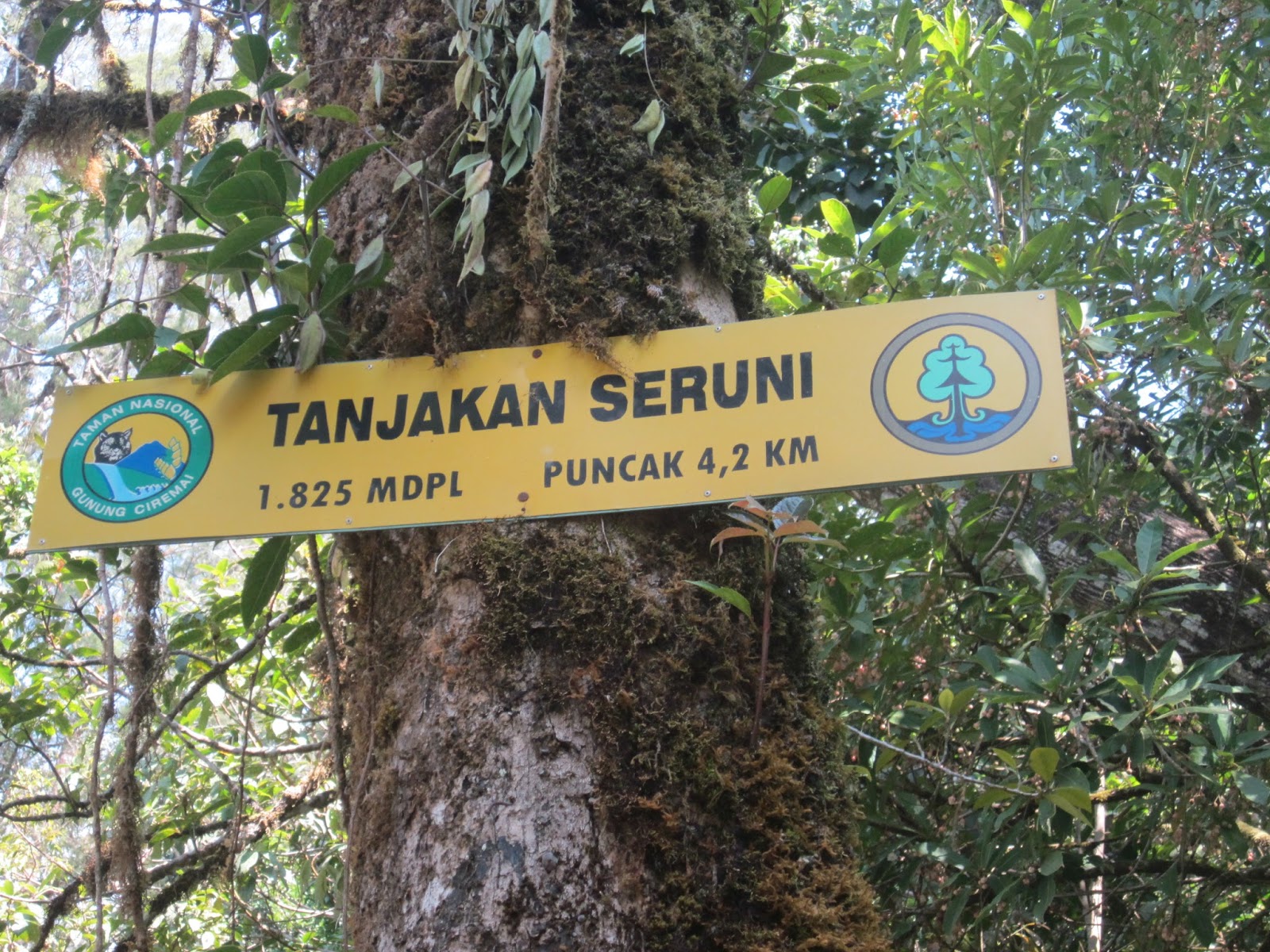 6 Tanjakan Legendaris Gunung Di Jawa | BELANTARA INDONESIA