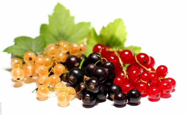 GROSELHA - Conheça a fruta que dá origem a xaropes, caldas, licores ...