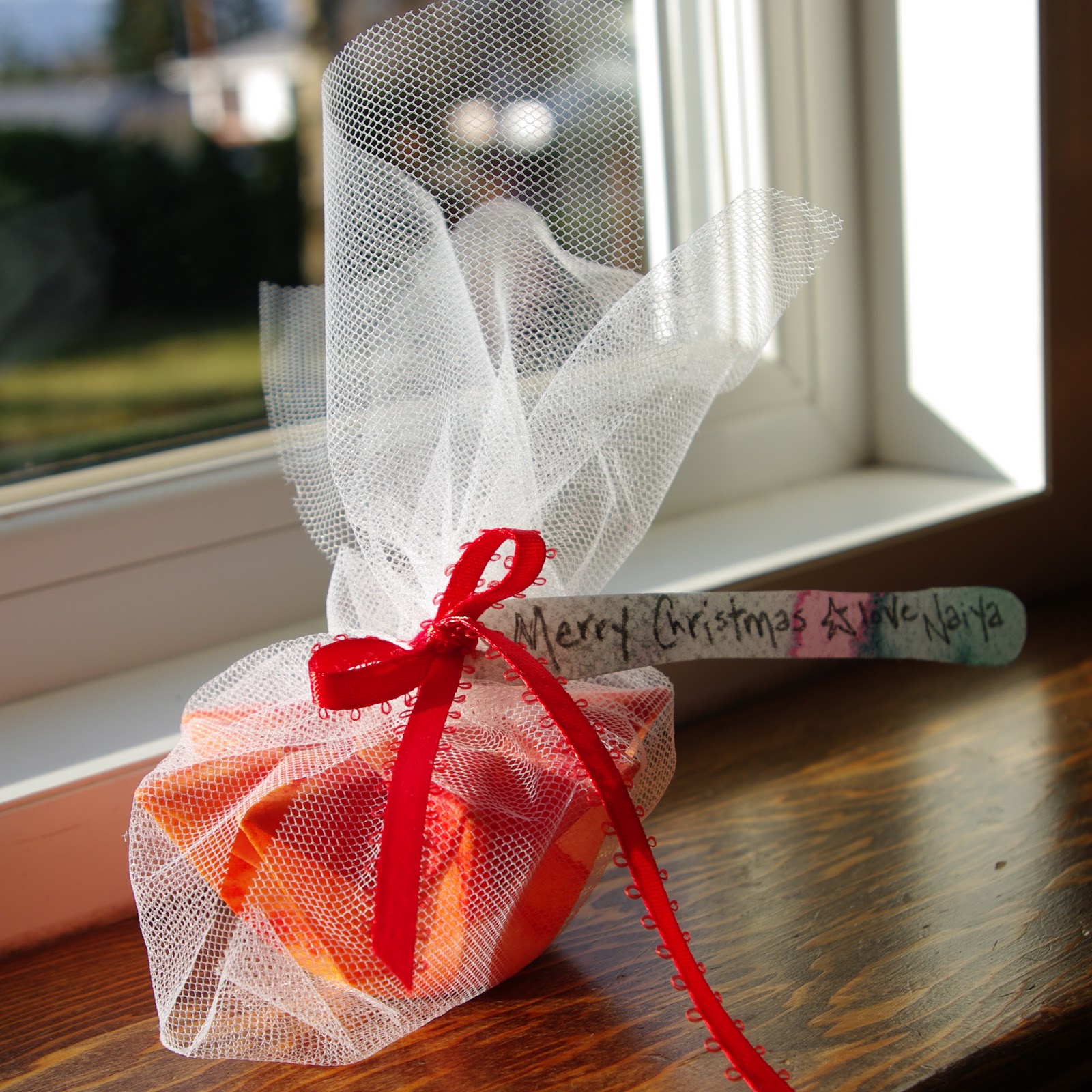 passengers on a little spaceship: little waldorf classmate christmas gifts