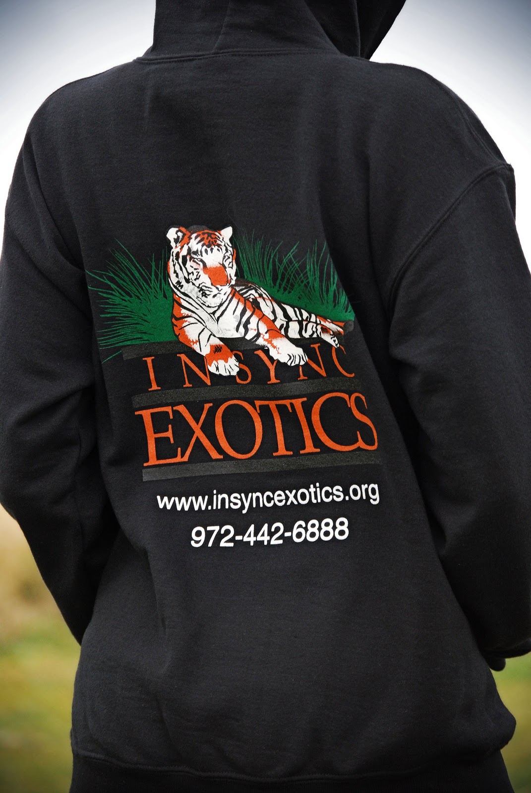 In-Sync Exotics' Cat Tales: 2/26/12 - 3/4/12