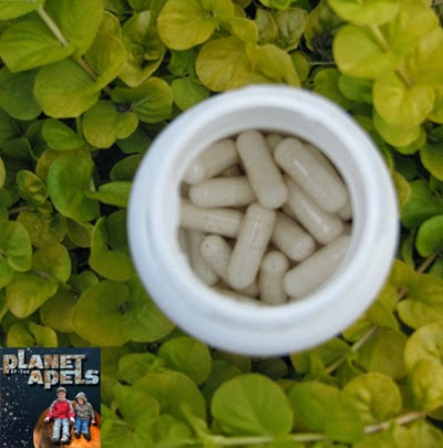 An Apel a Day: Number One Probiotic Review