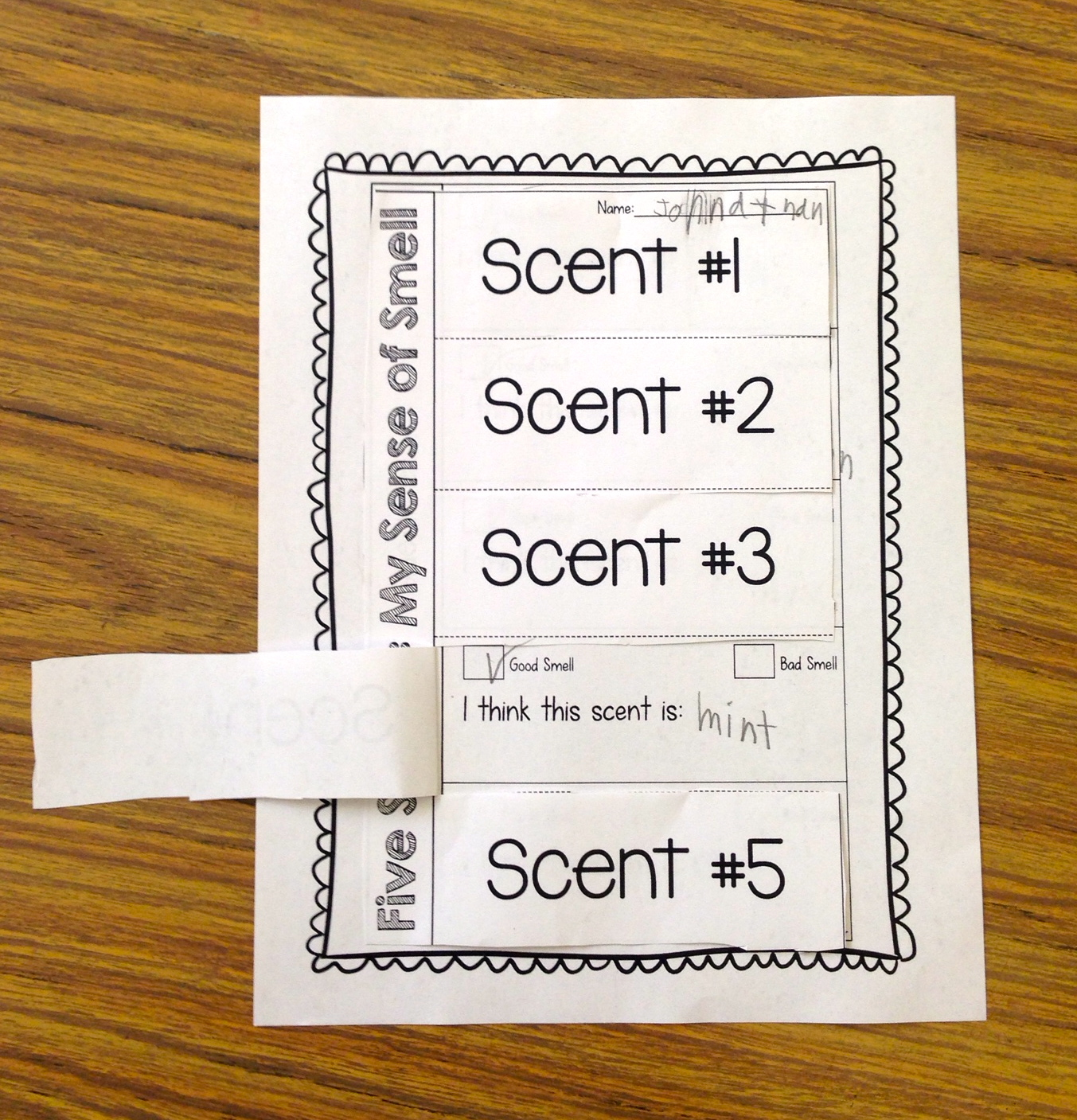 The Creative Colorful Classroom: My Five Senses Interactive Science Book