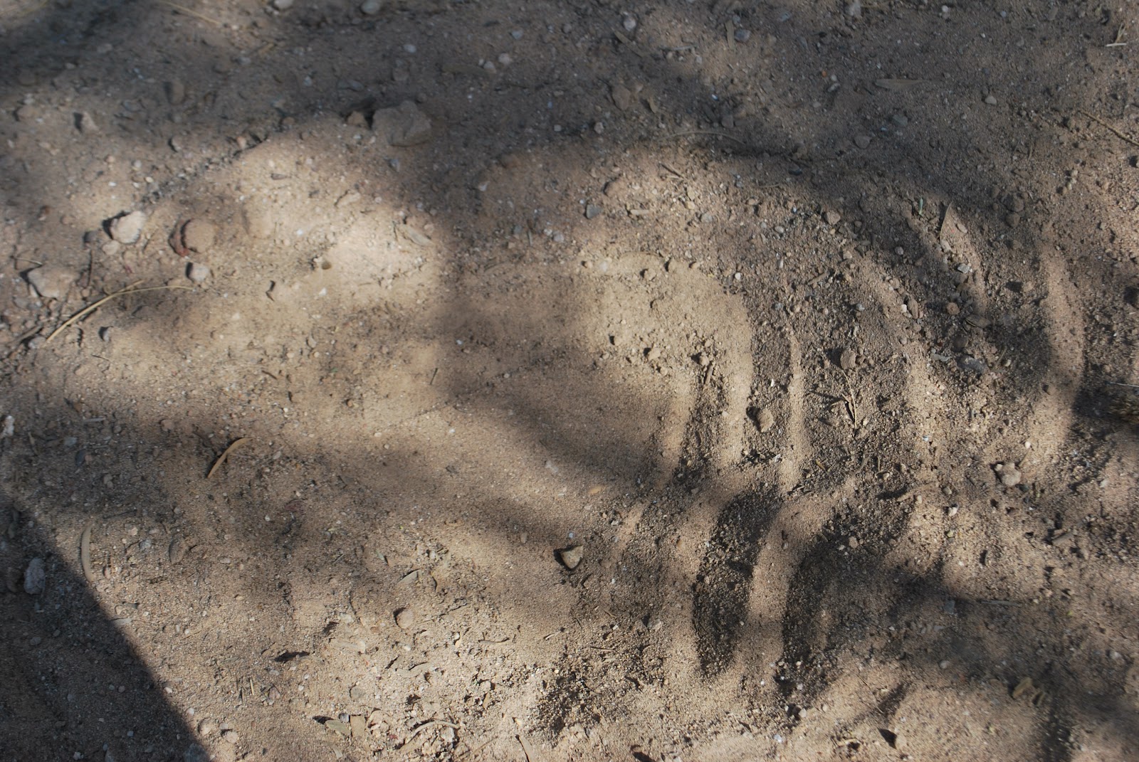 Crafty Tutorials: Sandy Mask