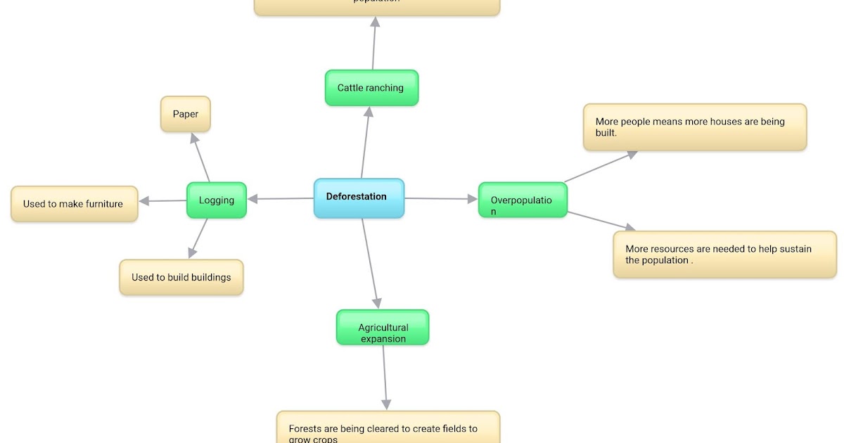 The Deforestation Danger Project : Mind-map on Deforestation
