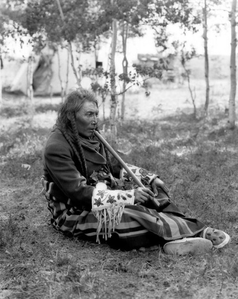 Los Grandes Fotografos: Harry Pollard (1880-1968)