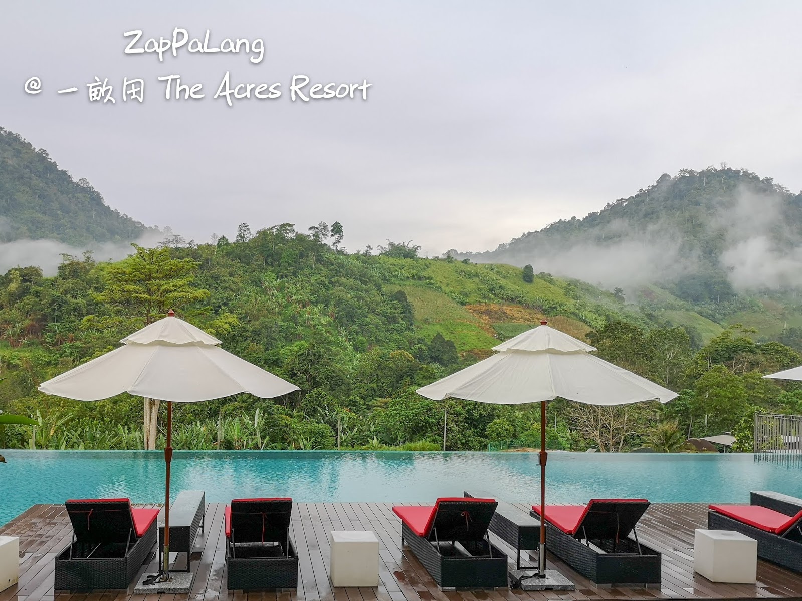 ZapPaLang: 放缓脚步，来一趟亲子游 - 一亩田（膳食&打卡篇） The Acres Resort @ Bukit Tinggi ...