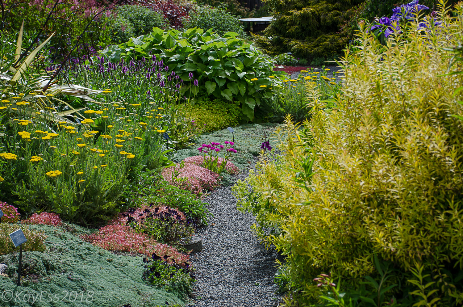 Edgings at Mendocino Coast Botanical Garden