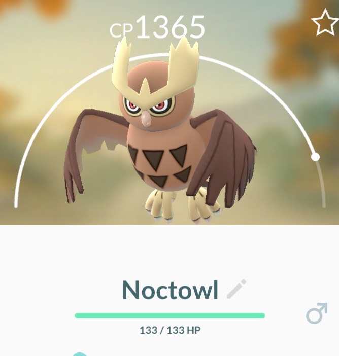 Owl Pokemon
