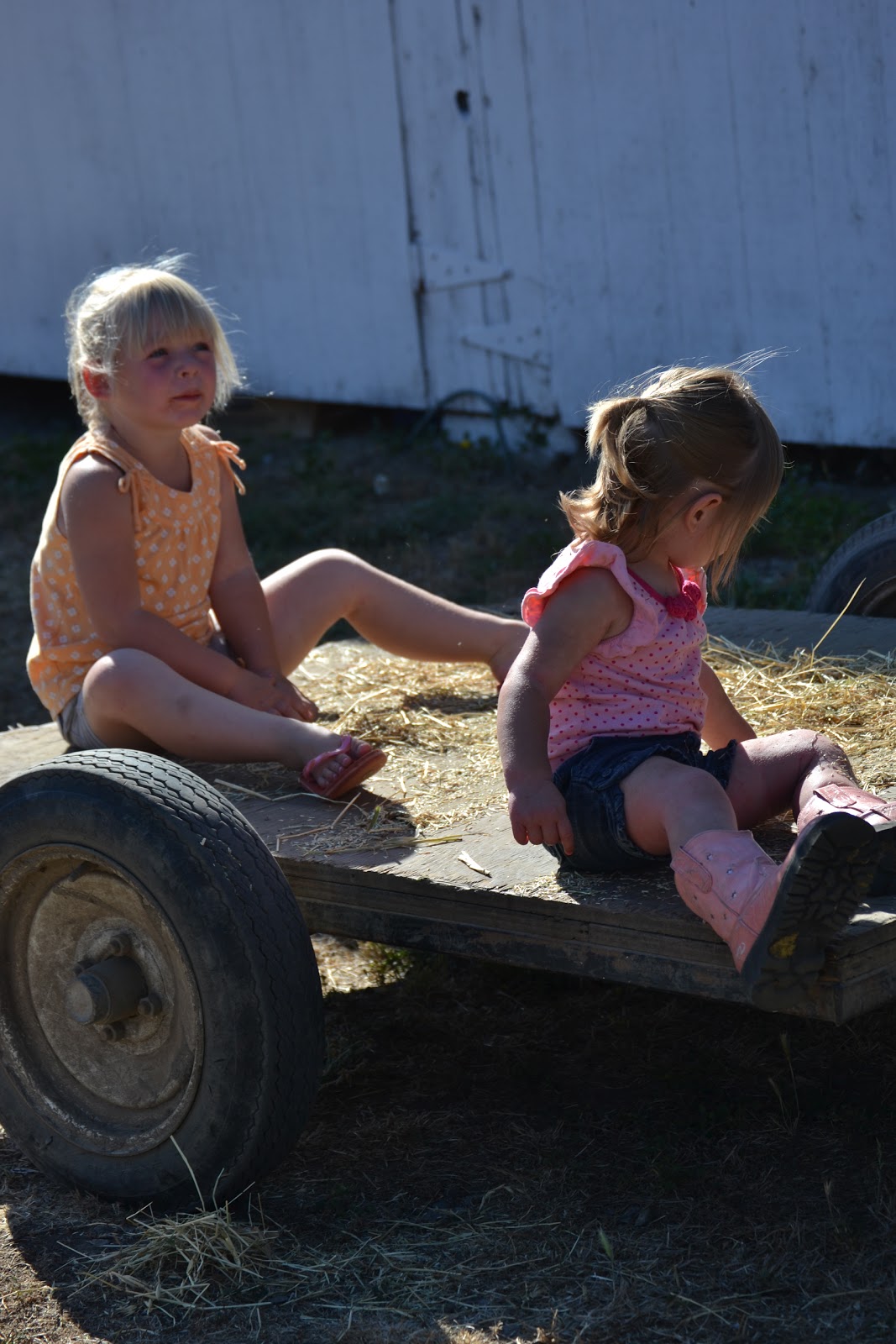 Little Ladies and Lambs: Role Model....Marsha Marsha Marsha!!