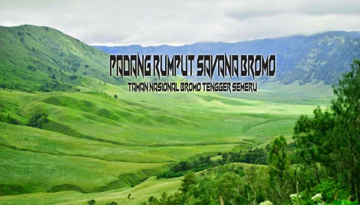 INILAH 10 TEMPAT WISATA MENARIK DI TAMAN NASIONAL BROMO TENGGER SEMERU ...