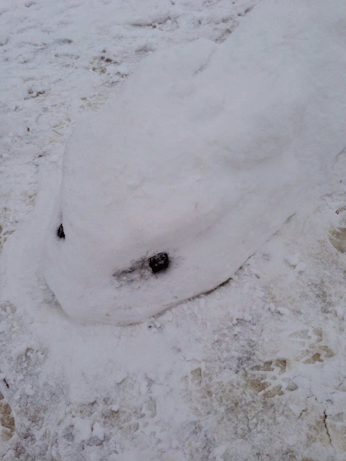 Toothless the Nightfury: Snow Toothless!