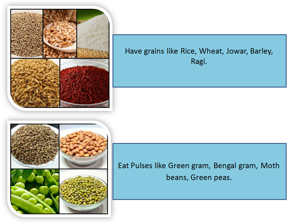 Ayurbeej: Diet and lifestyle to follow as per Ayurveda in Autumn season ...