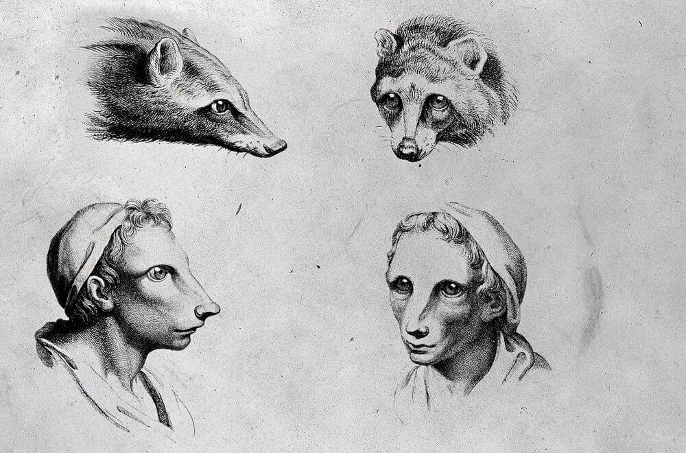 Design Stack: A Blog about Art, Design and Architecture: Animal ...