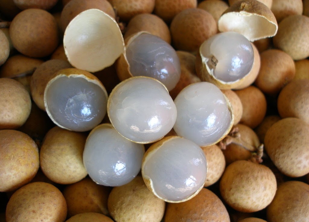 Life and Food: Special Superior Freeze Dried Longan Fruit