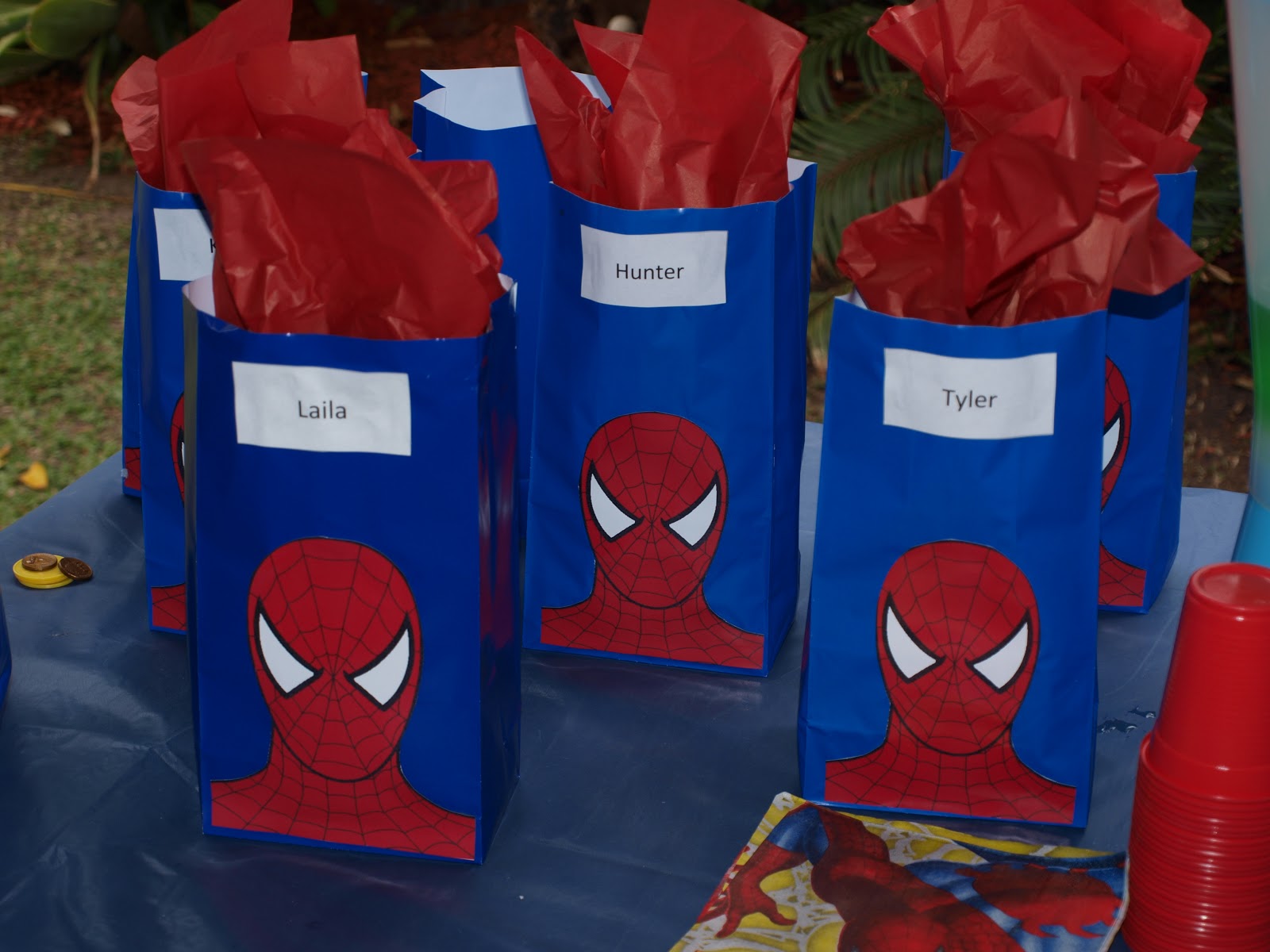 Forever Busy Mum: Spiderman Party for 5 year old