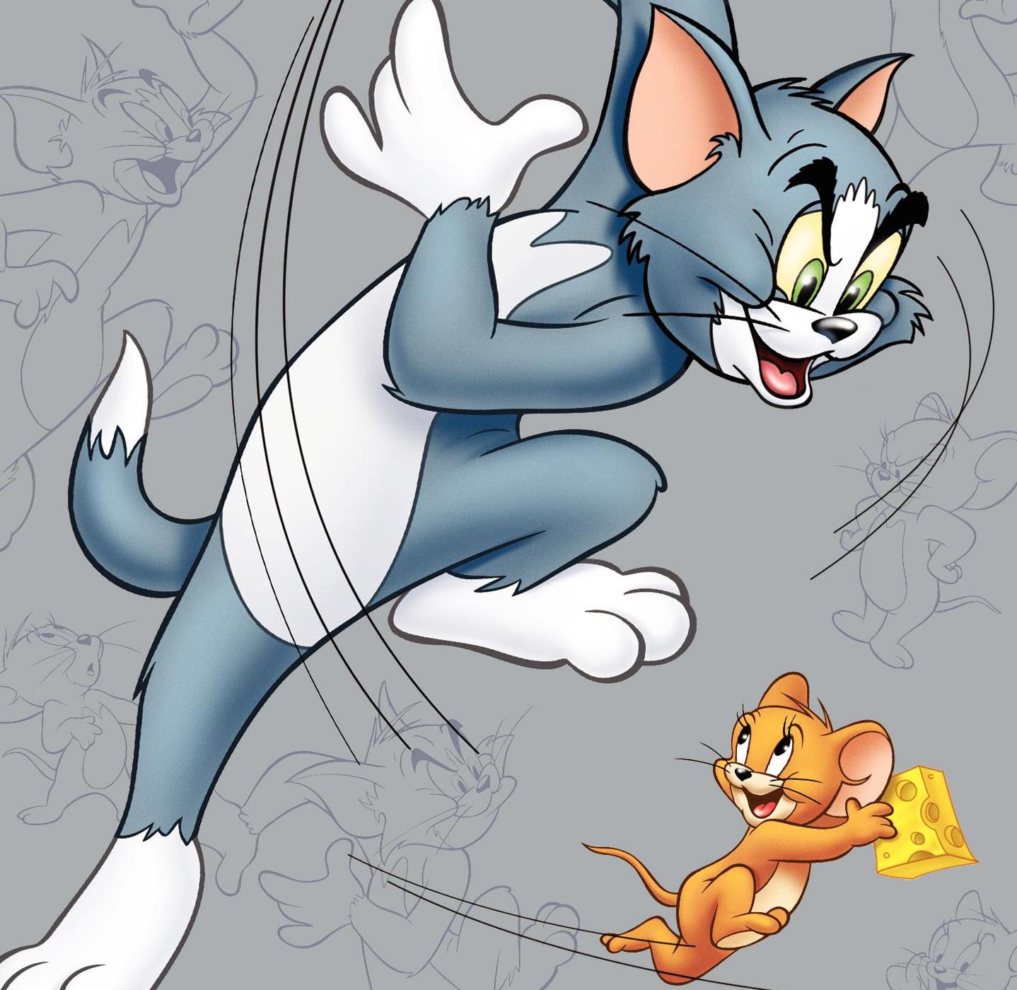 American top cartoons: Tom and jerry hd wallpaper