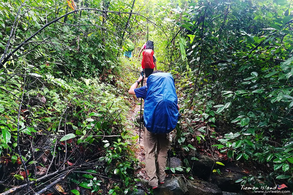 Kampung Asah Waterfall of Tioman Island 徒步刁曼岛寻【甘榜阿沙瀑布】 - 乐飞翎 ♥ LUVFEELIN