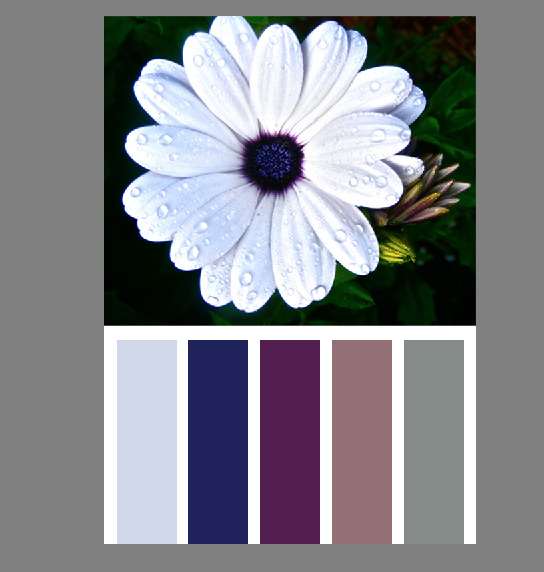 How To Use Color Card In Photoshop at Darcy Ryan blog