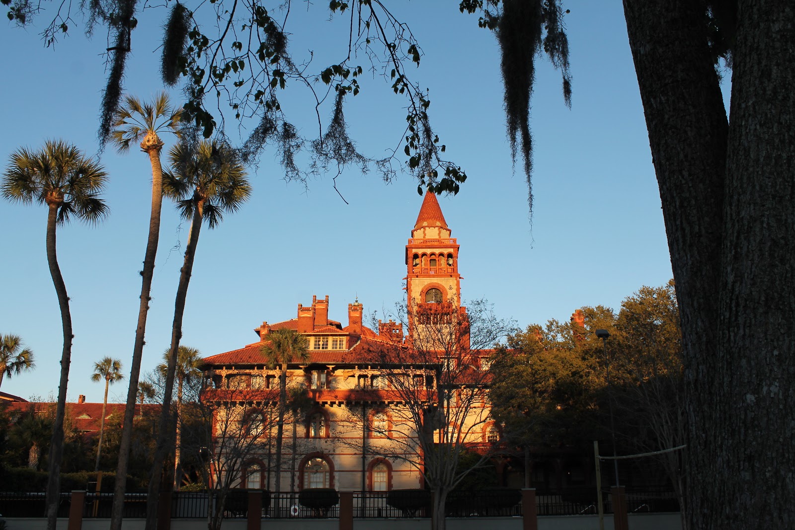 Colorful Days n' Delicious Nights